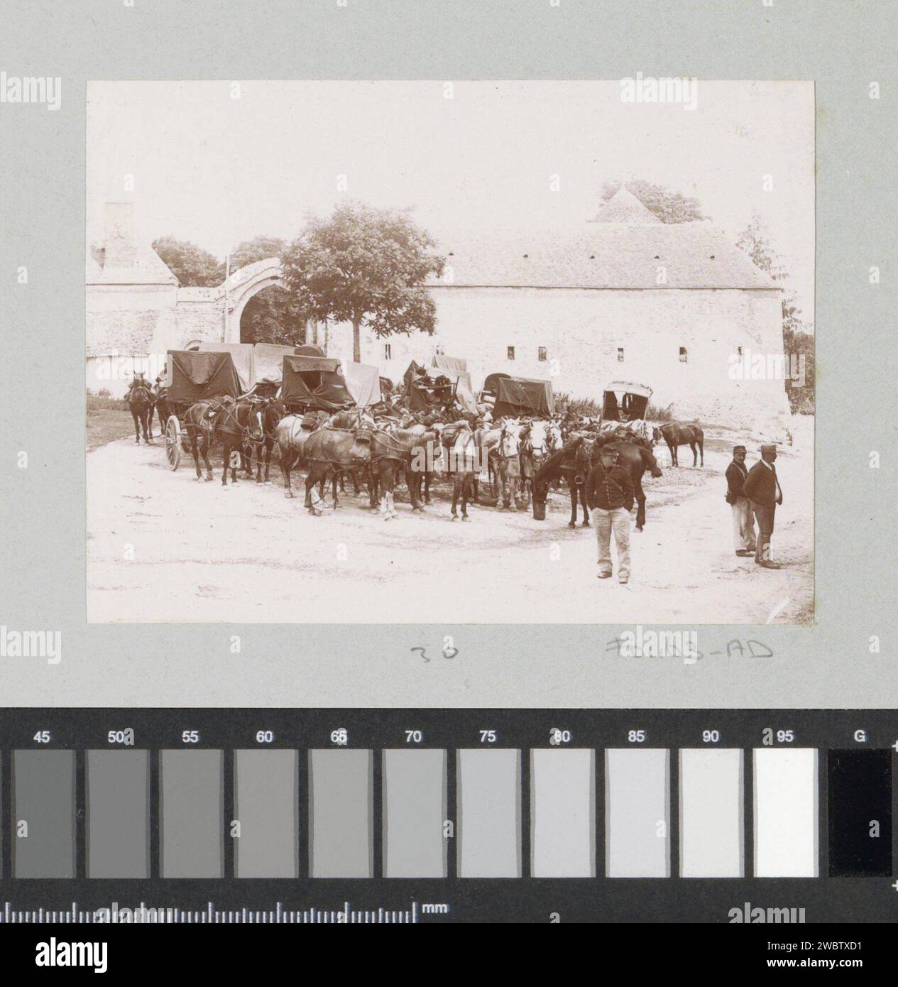 Horses and cars at a Army Camp in Puiseaux, 1896 photograph Part of ...