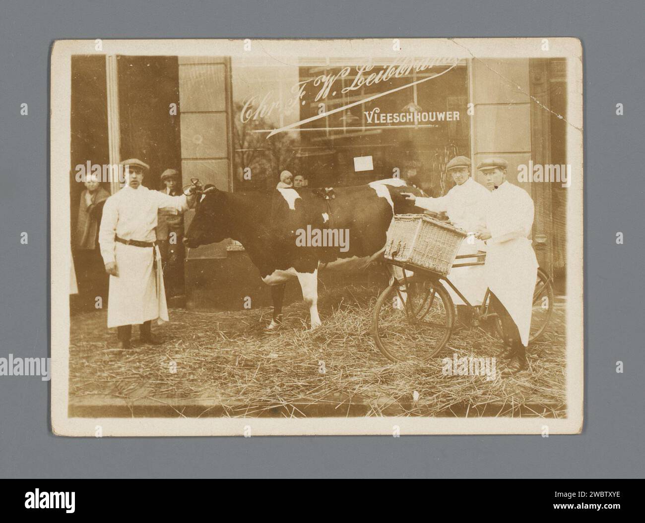 Butcher Leibbrandt standing in front of his store with a cow, Anonymous ...