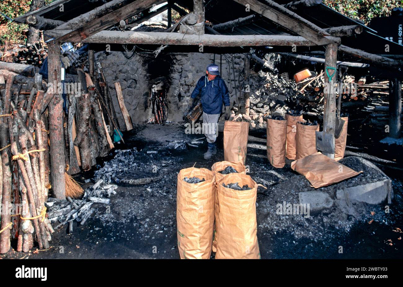 Charcoal preparation in Japan interior with man fire and bags of ...