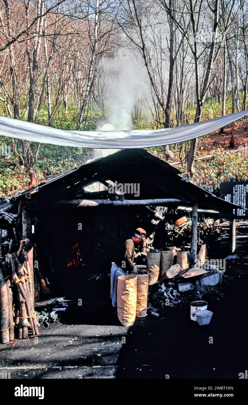 Charcoal preparation in Japan man sorting the charcoal into paper bags ...