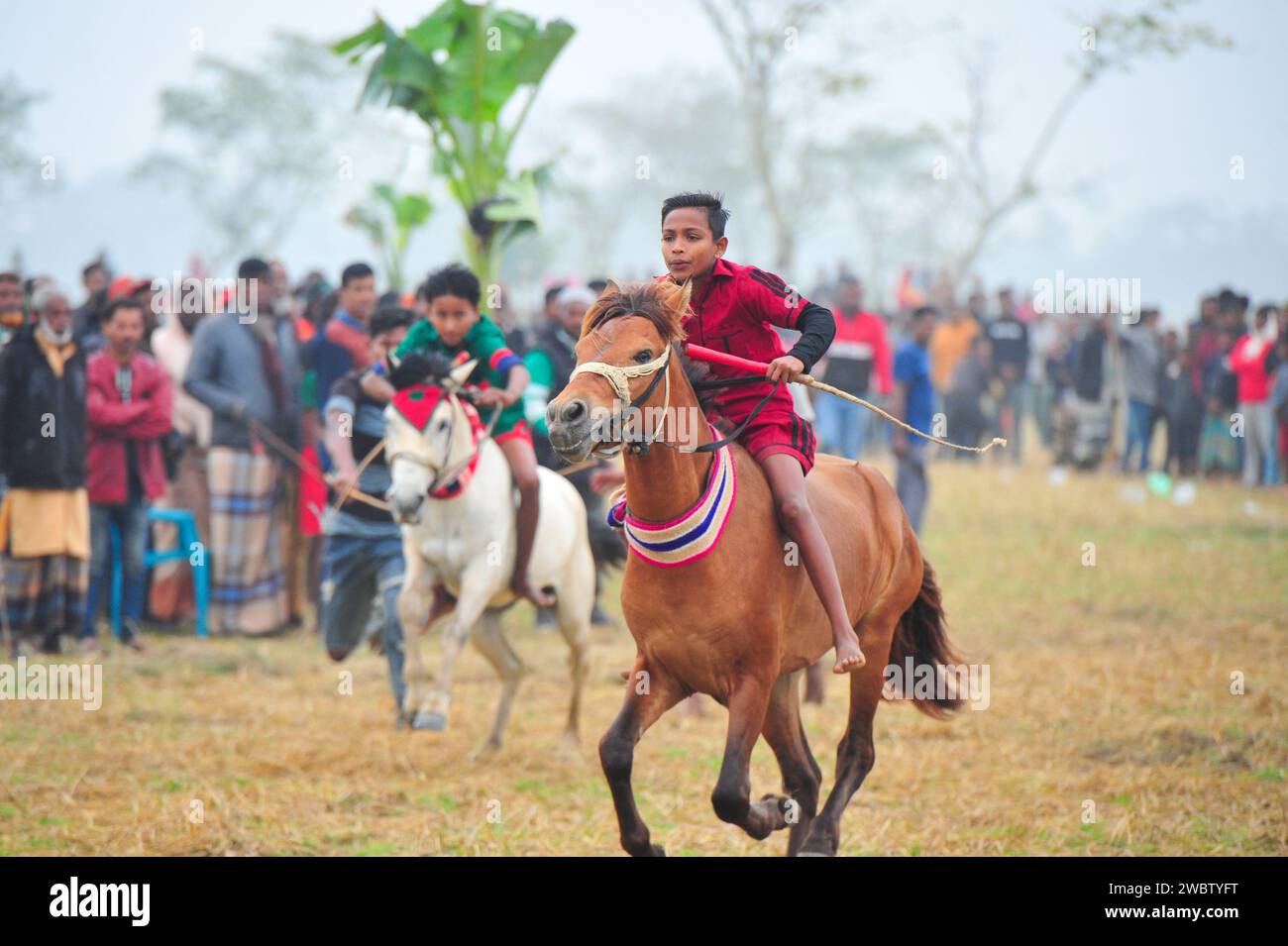 Sylhet, Bangladesh. 12th Jan, 2024. A rural horse competition was ...