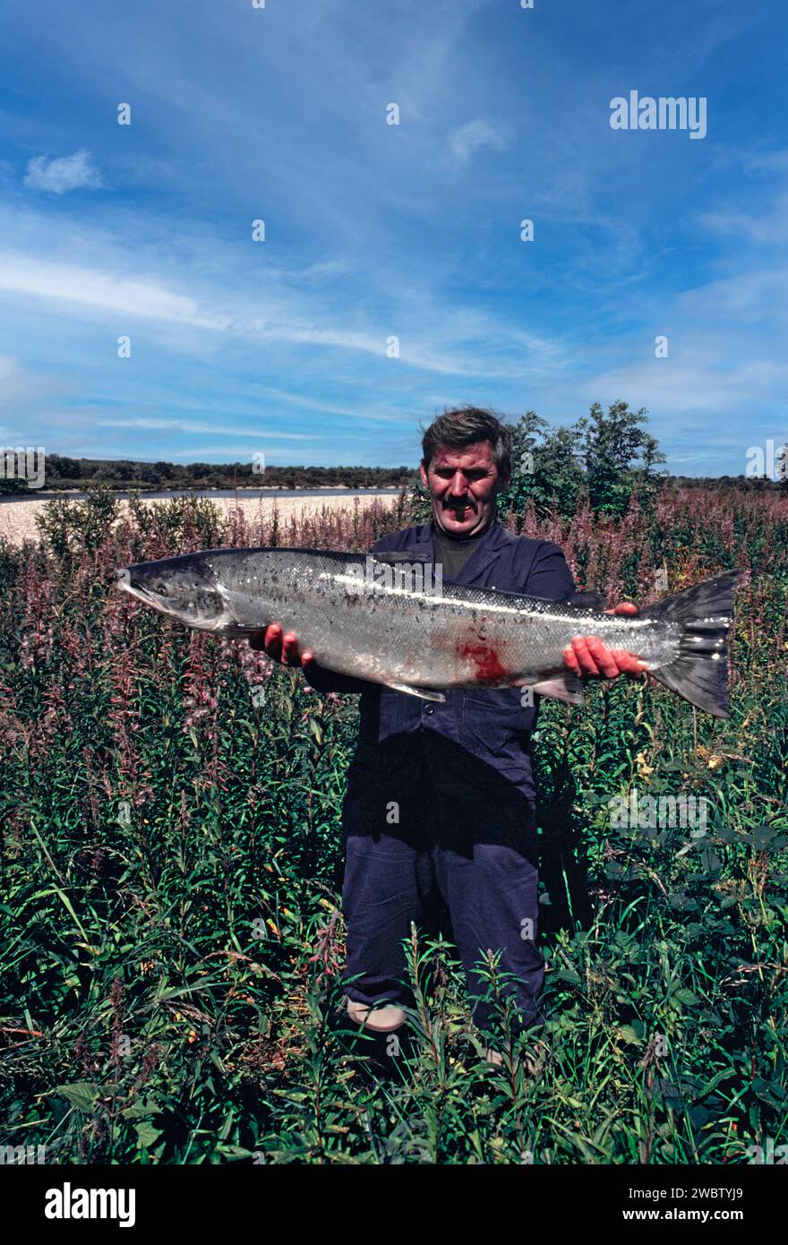 Salmon netting on the River Spey at Tugnet fisherman with a very large ...