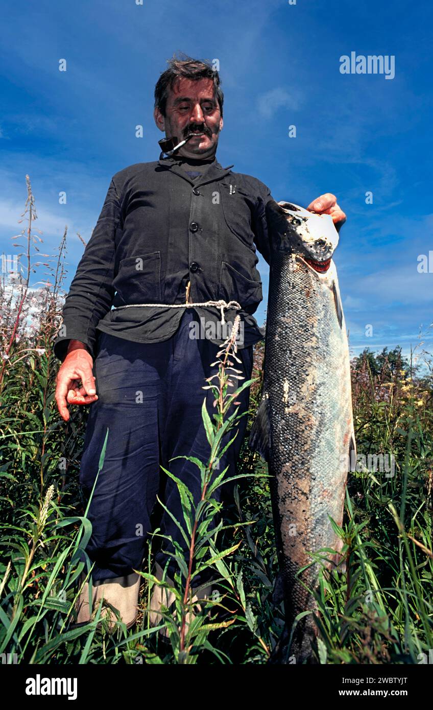 Salmon netting on the River Spey at Tugnet fisherman with large salmon ...