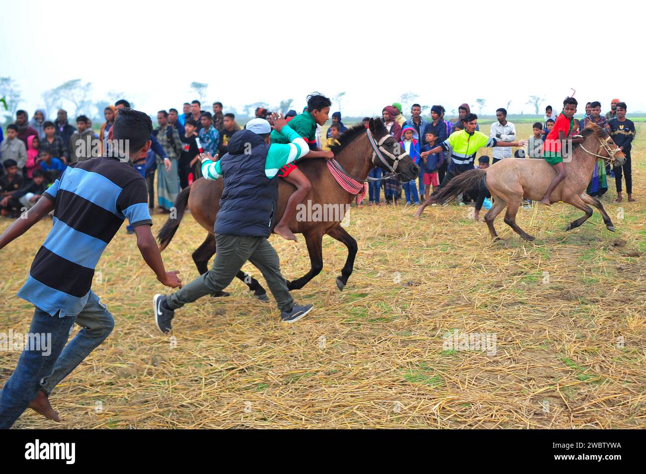 Sylhet, Bangladesh. 12th Jan, 2024. A rural horse competition was ...
