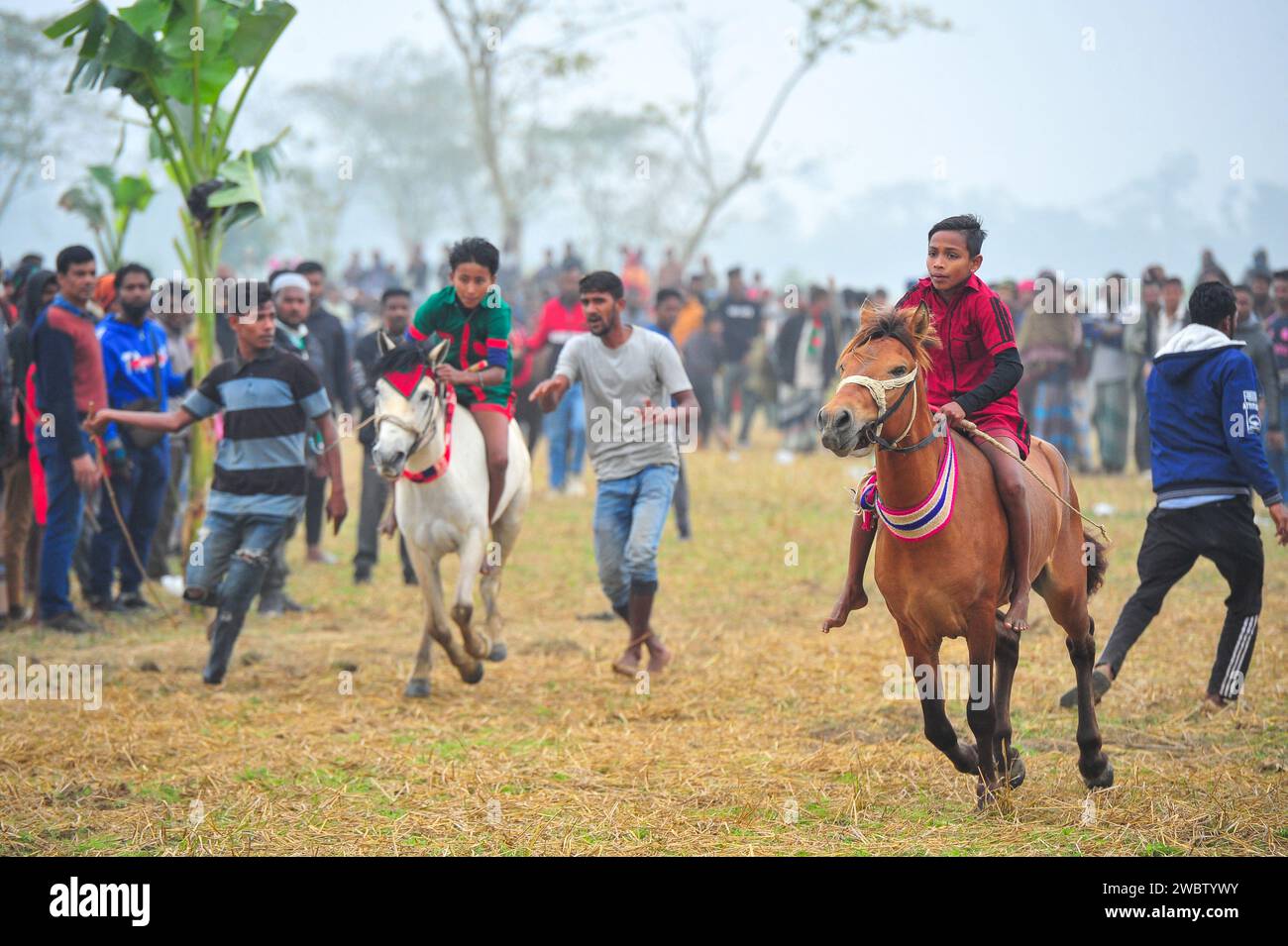 Sylhet, Bangladesh. 12th Jan, 2024. A rural horse competition was ...