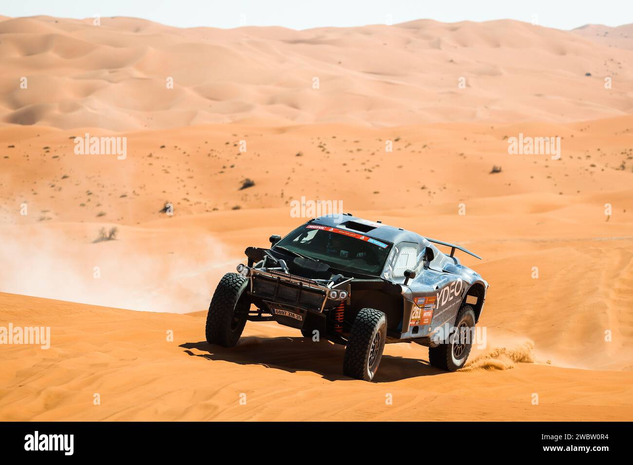 261 FRETIN Benoit (fra), DUPLE Cedric (fra), Ydeo Competition, Century ...