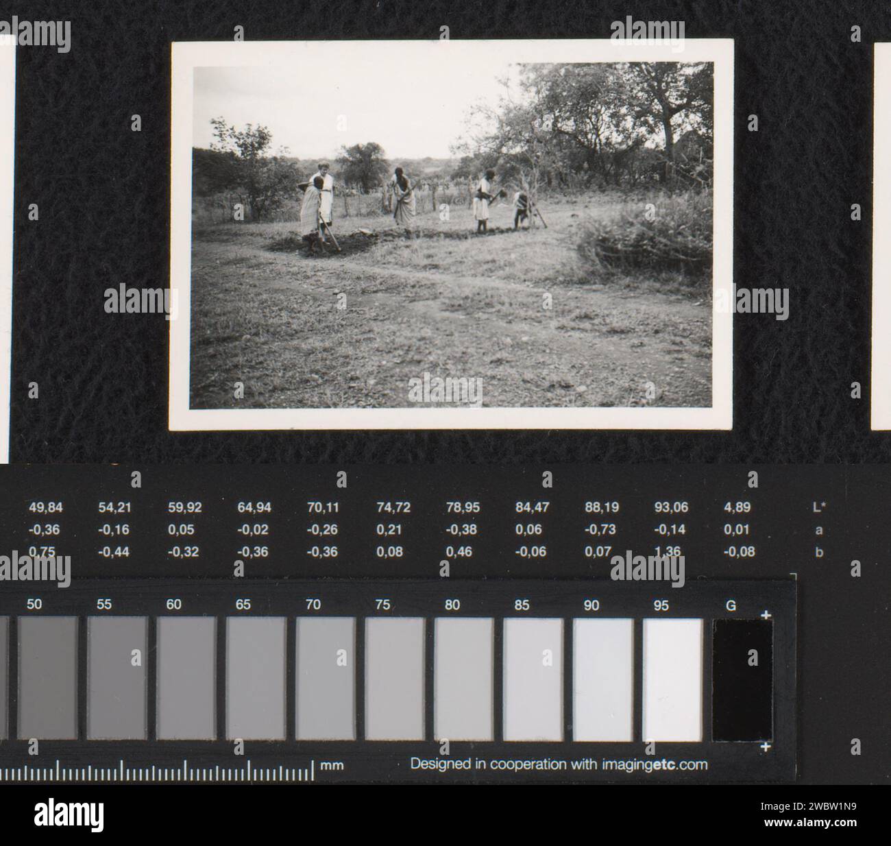 South African people work a country, presumably on the farm of Willem ...