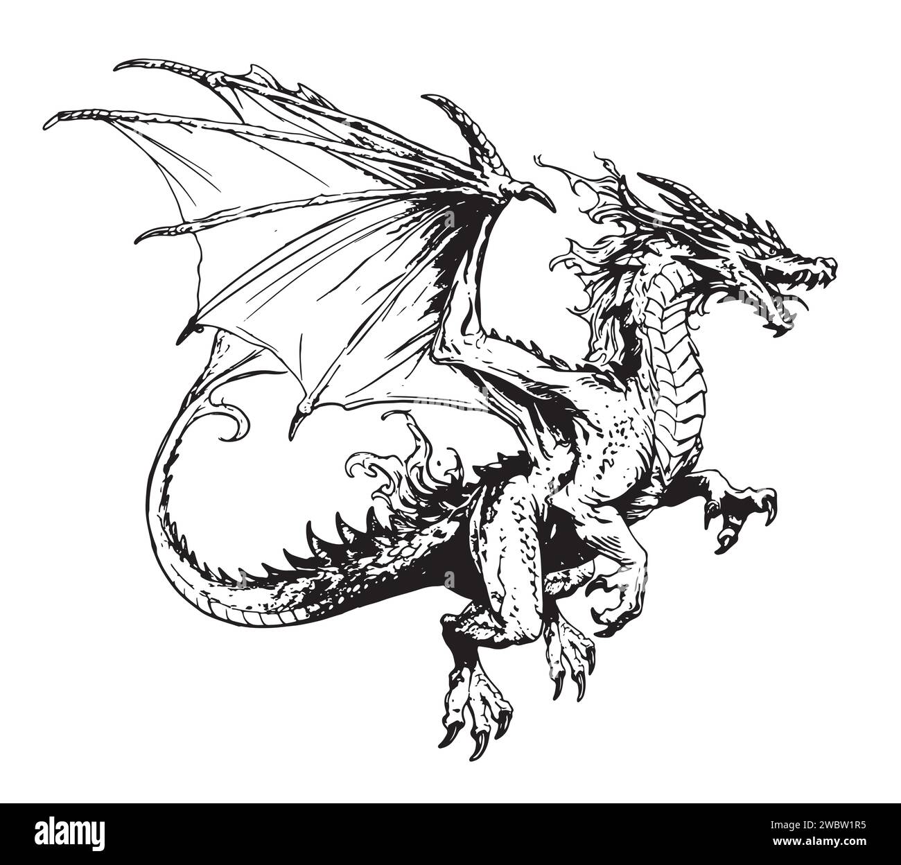 Hand Drawn Engraving Pen and Ink Dragon Vintage Vector Illustration ...