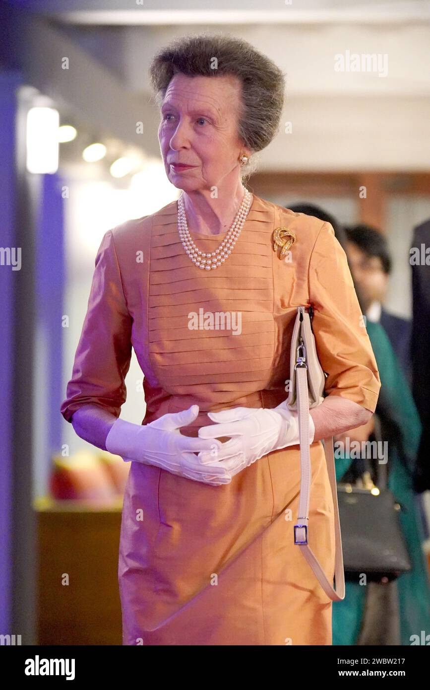 The Princess Royal arrives for a reception at the British High ...