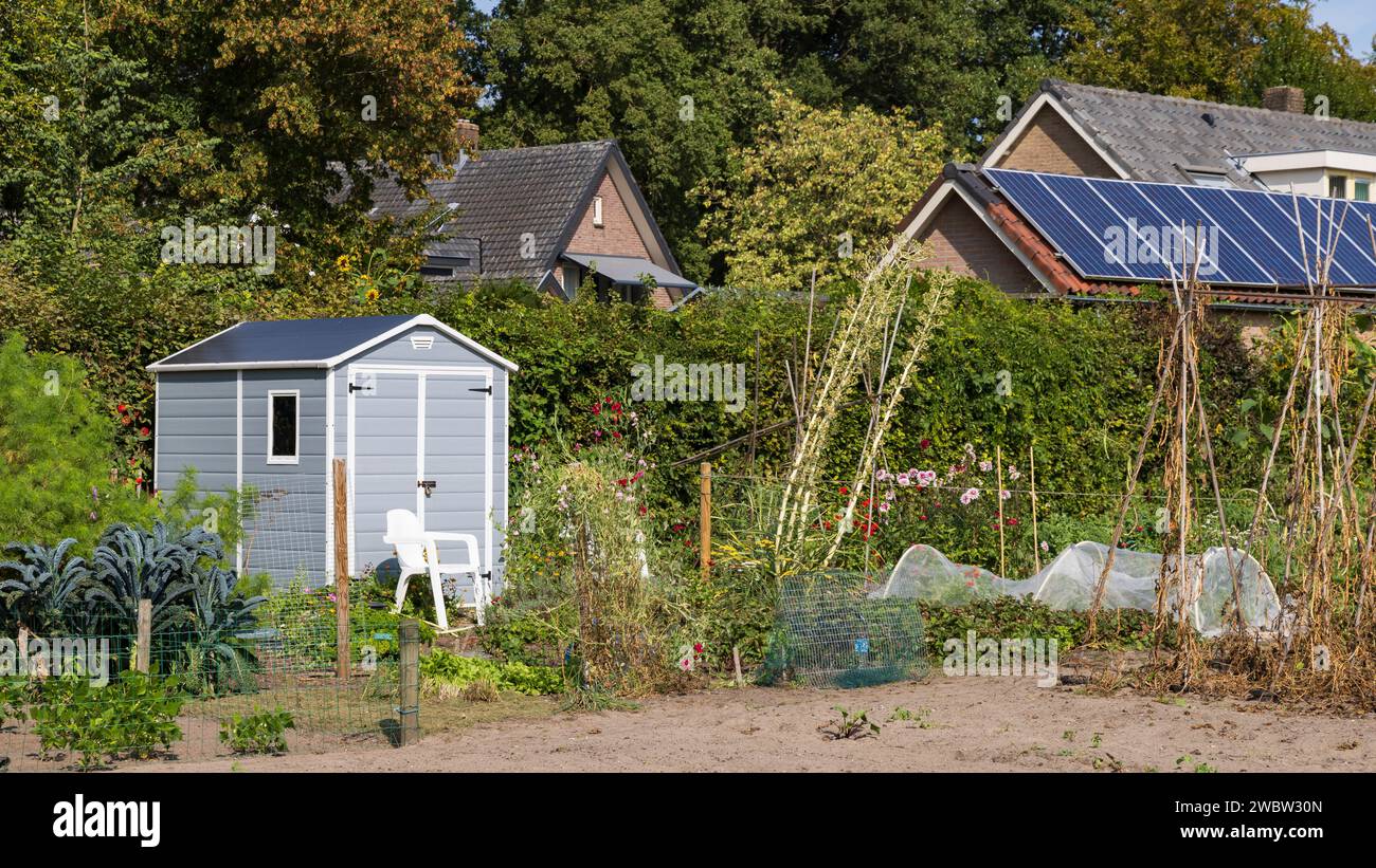 Landscape with urban social vegetable garden project in municipality ...