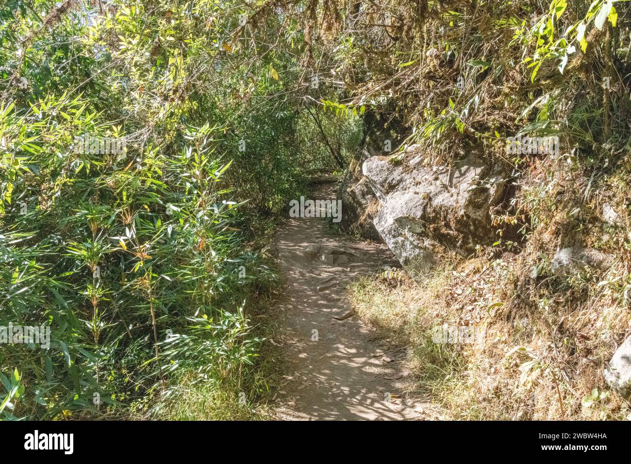 Stone steps on the path / trail leading up to the top of Huayna Picchu ...