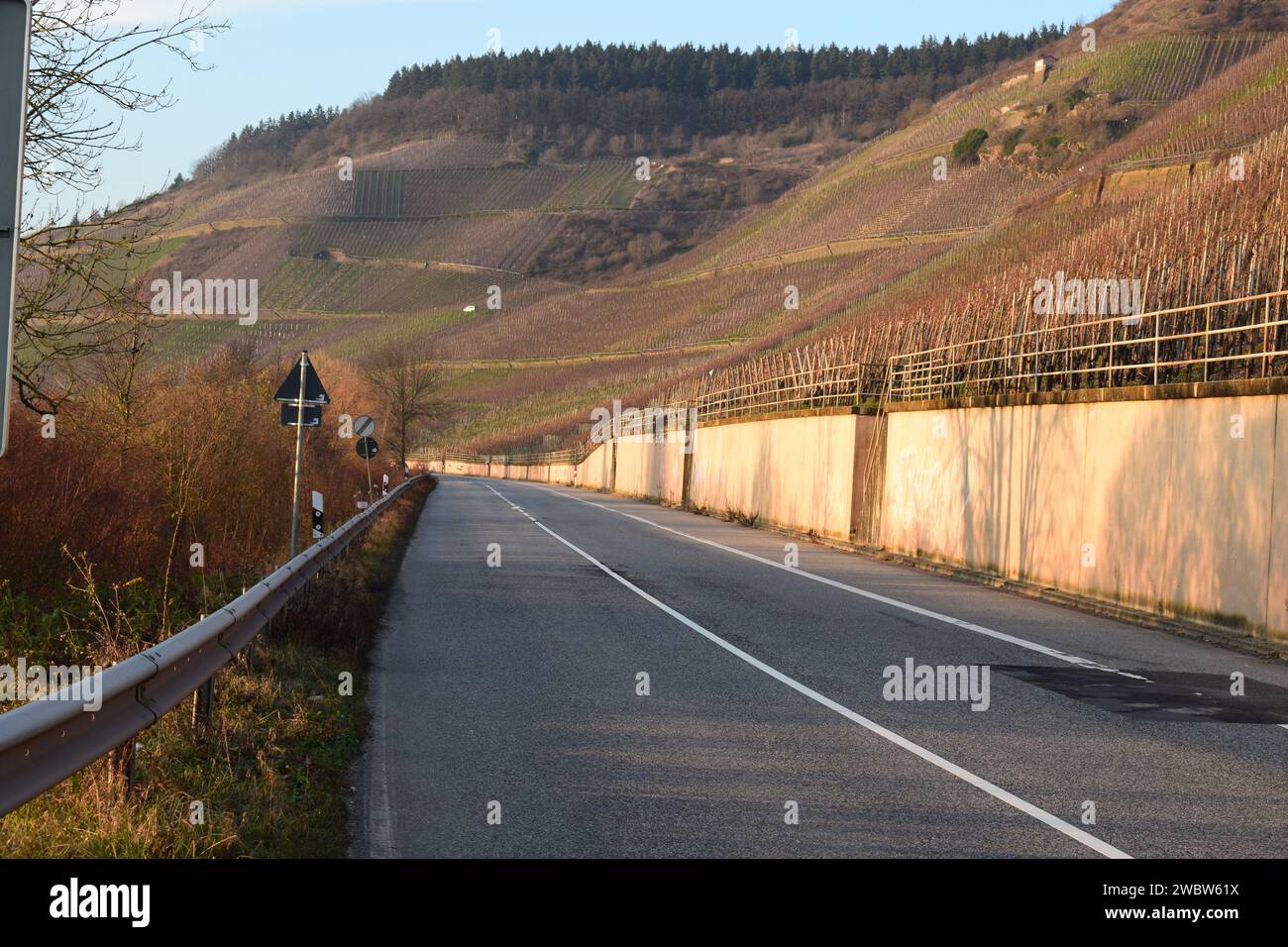 Mosel valley road in sunset light Stock Photo - Alamy