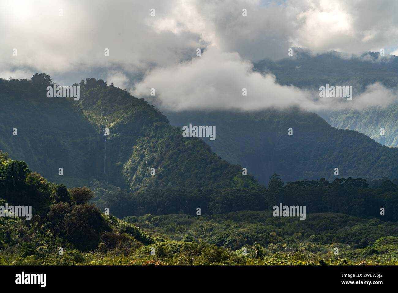 Amidst Maui's grandeur, a secluded waterfall cascades down a sun-kissed ...