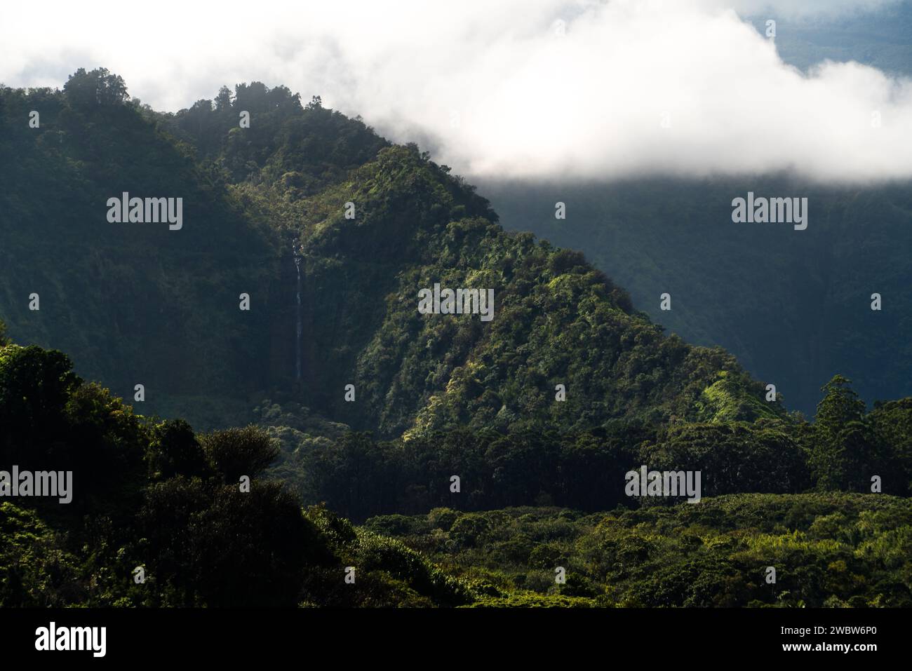 Amidst Maui's grandeur, a secluded waterfall cascades down a sun-kissed ...