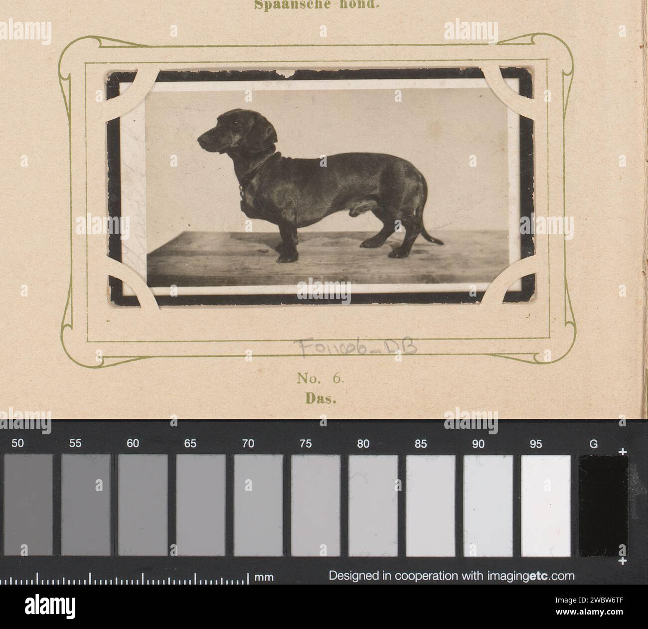 Teckel of Dashond, Anonymous, 1904 - 1905 photograph This photo is part ...