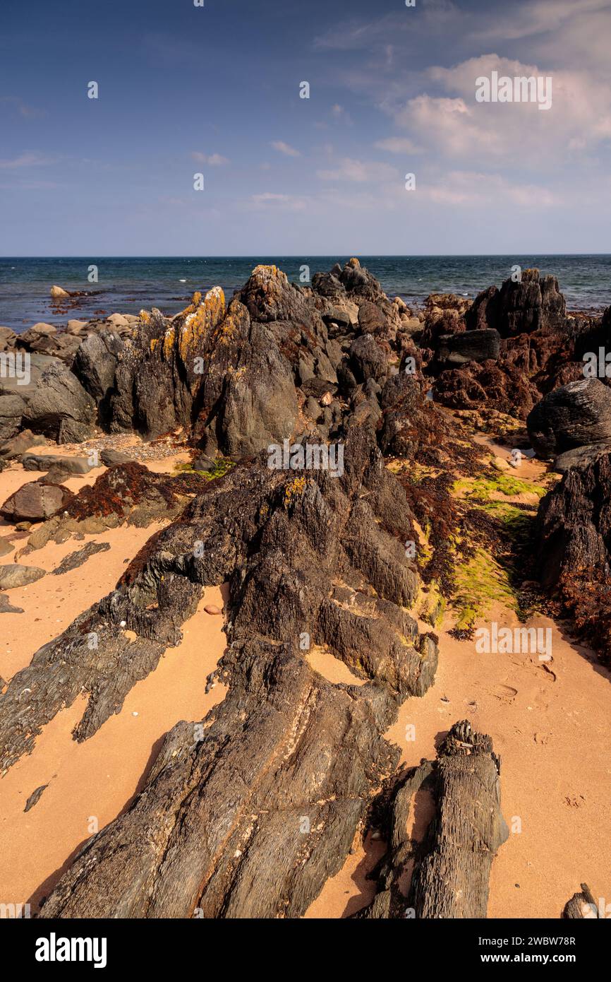 Kinnagoe bay ireland hi-res stock photography and images - Alamy
