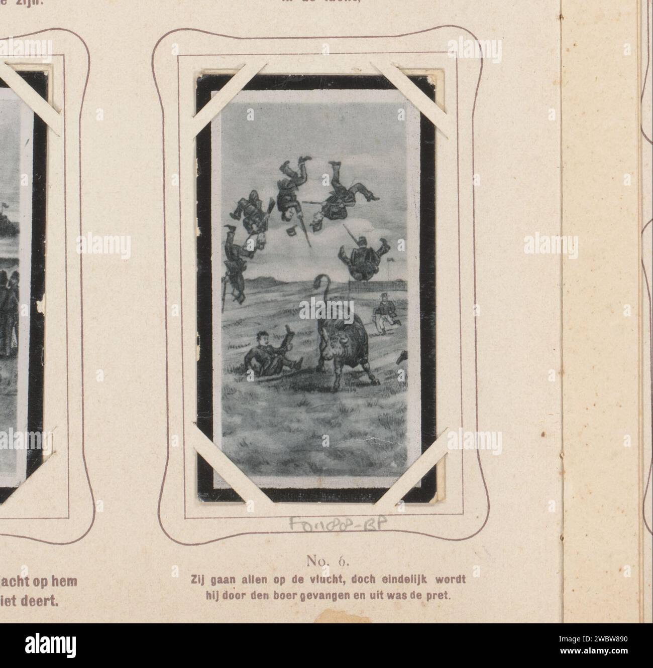 Prize ox hi-res stock photography and images - Alamy