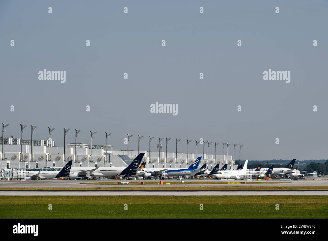 Lufthansa, Airlines, ANA, All Nippon Airlines, Eurowings, Discover ...