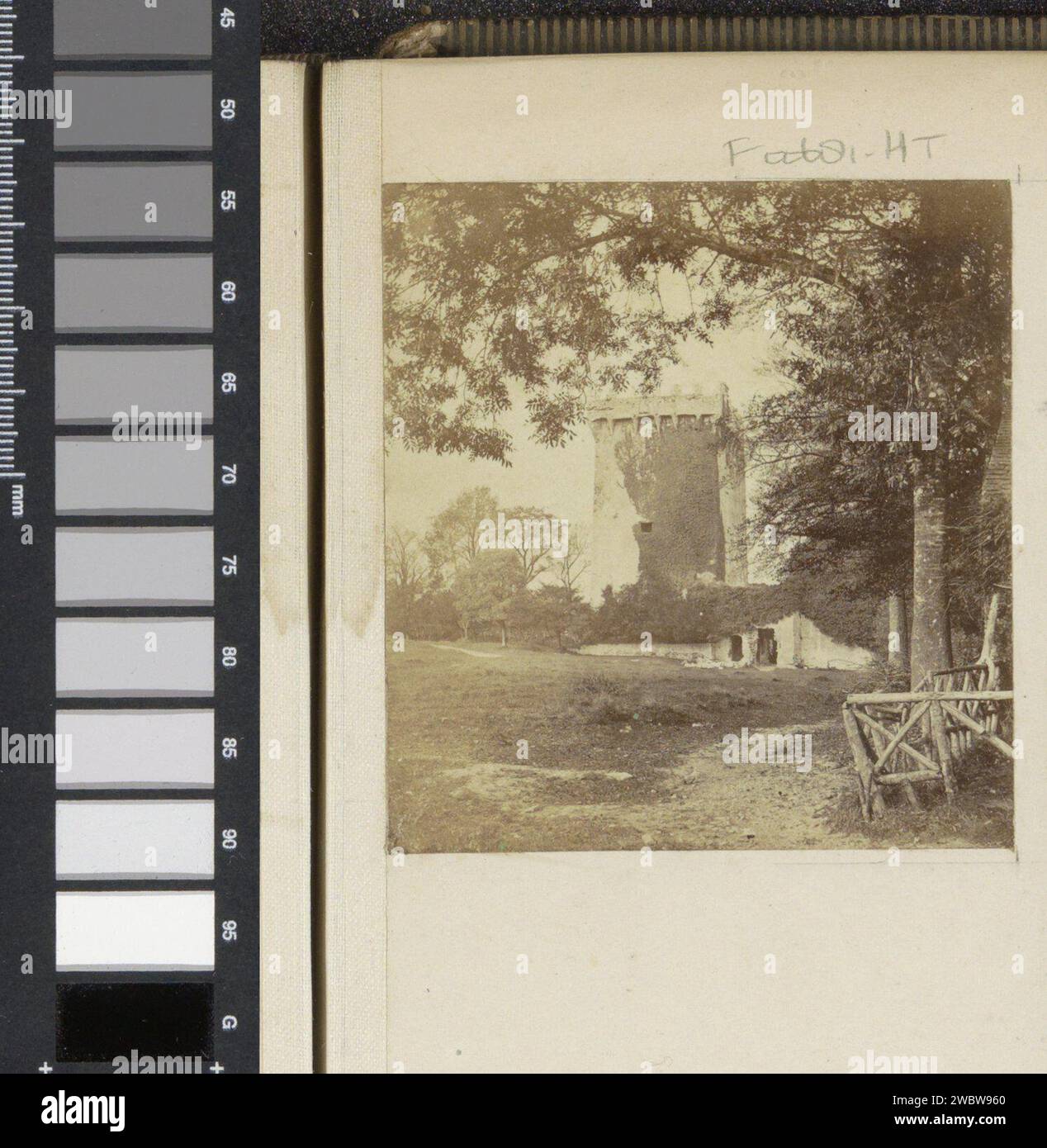 Overgrown tower hi-res stock photography and images - Alamy