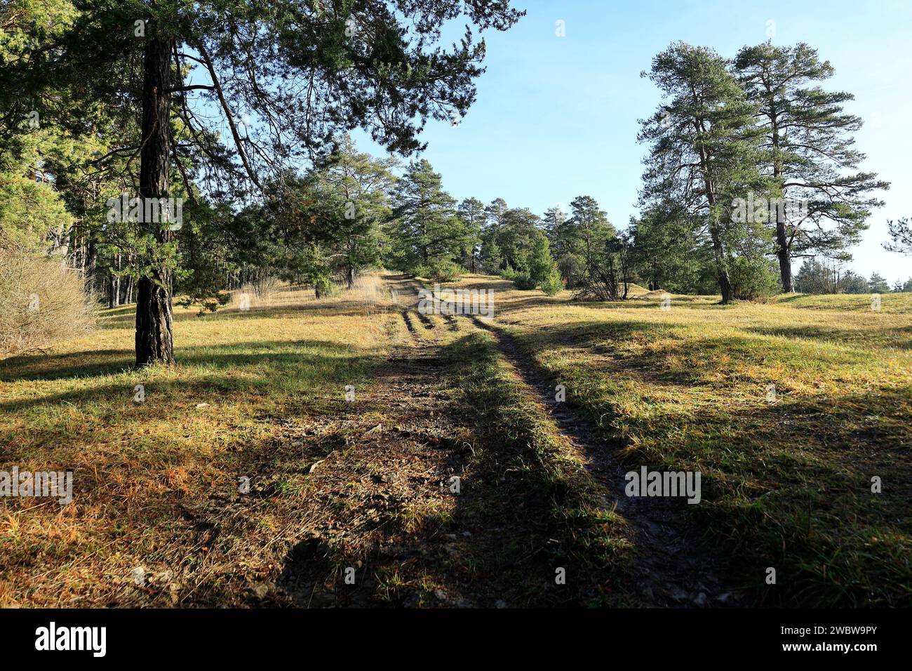 Silberberg nature reserve near Heimsheim in Baden-Württemberg Stock ...