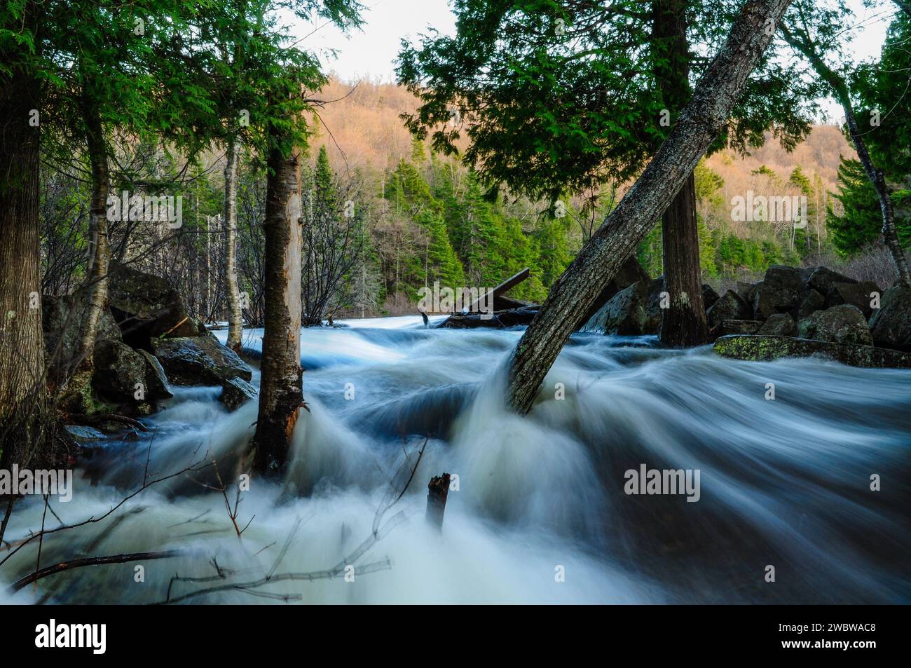 Raquette River, Buttermilk Falls Area, Adirondack Forest Preserve, New ...
