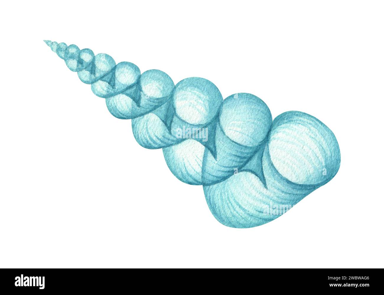 Watercolor nautical illustration, turquoise transparent shells. Drawing ...