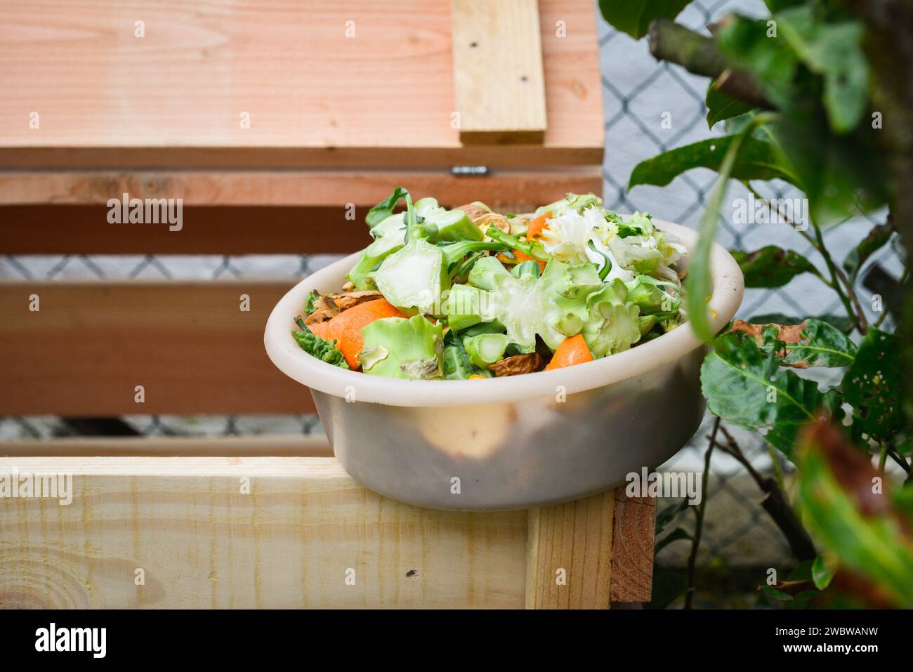 Peelings and vegetable waste in a basin on an empty new wooden ...