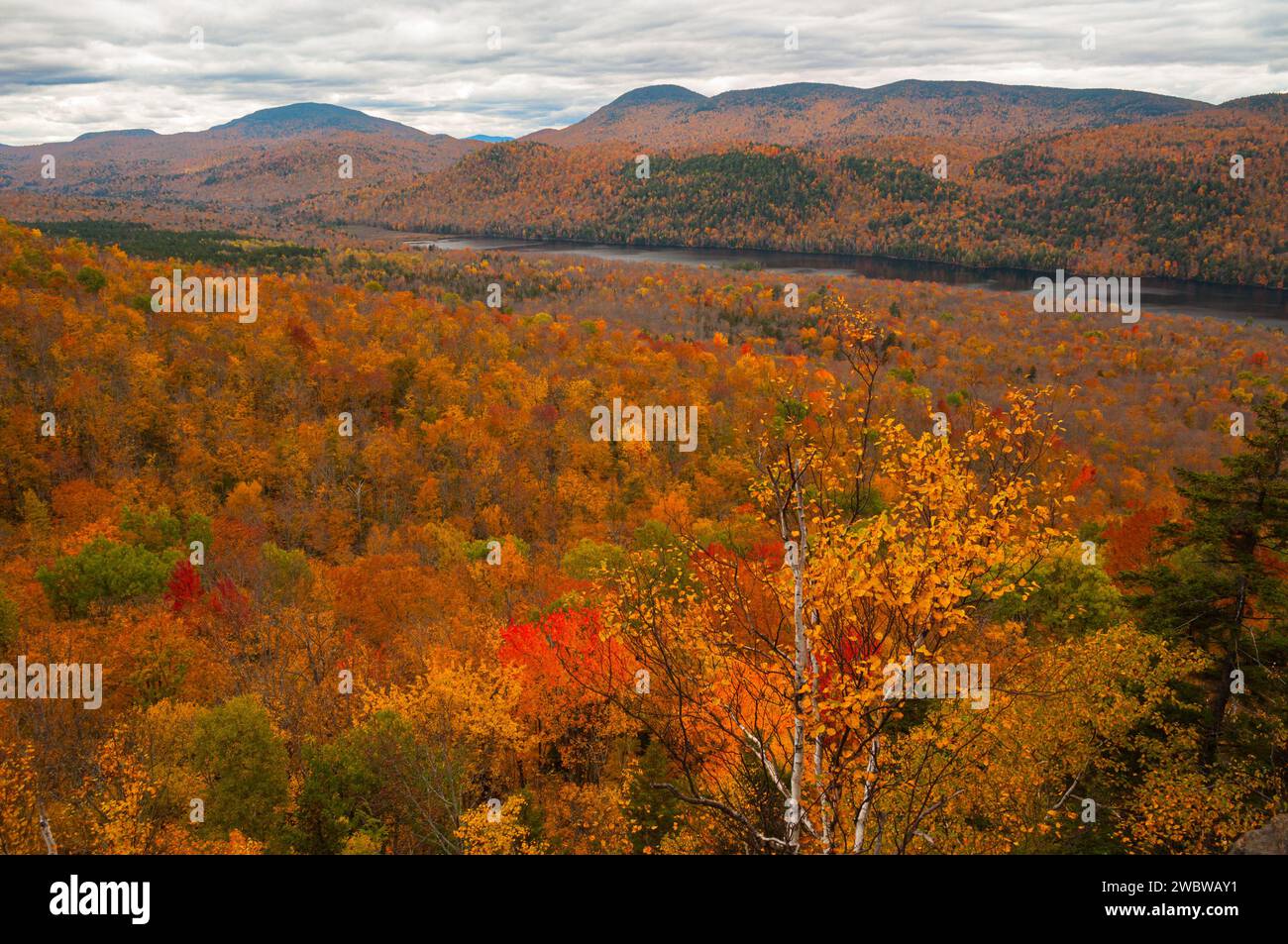 View from Balm Of Gilead Mt of Thirteenth Lake in the Siamese Ponds ...