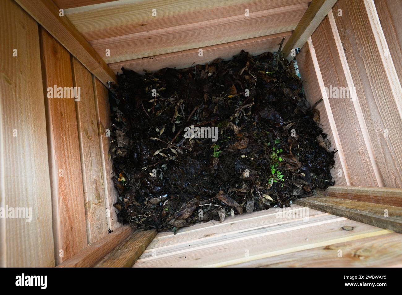 Sorting wooden boards hi-res stock photography and images - Alamy