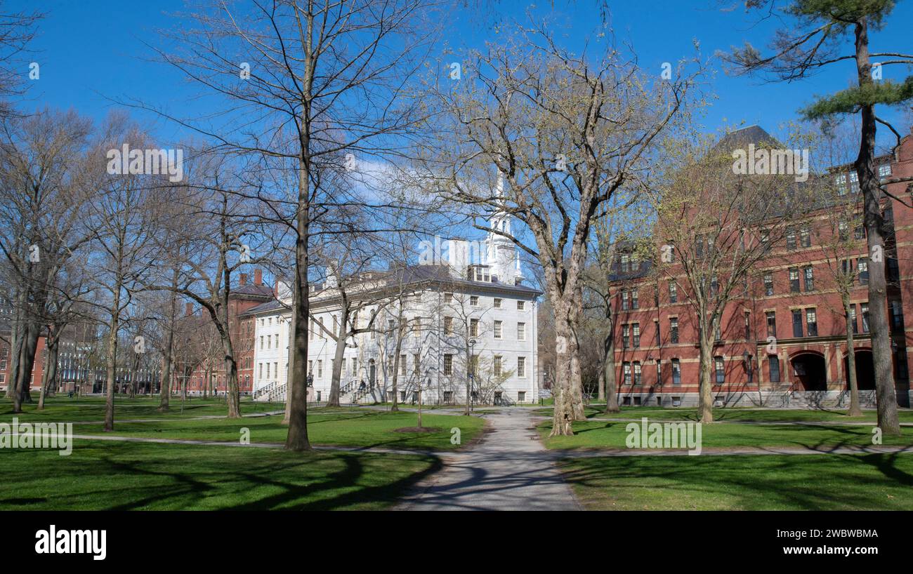 Quad harvard university cambridge massachusetts hi-res stock ...
