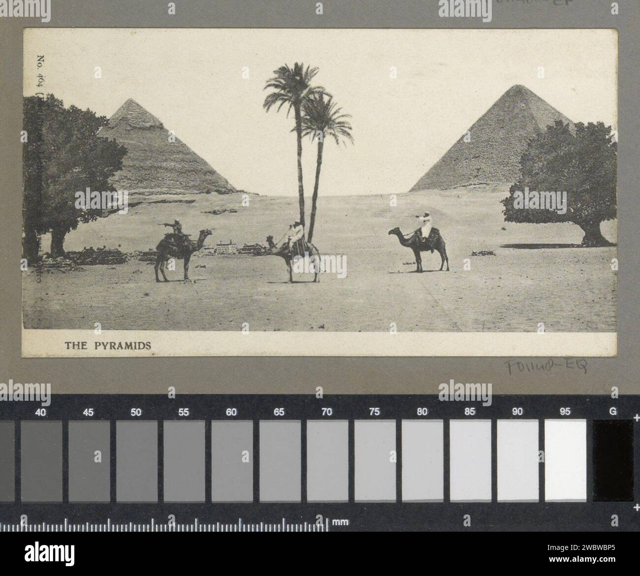 Men on camel pyramid hi-res stock photography and images - Alamy