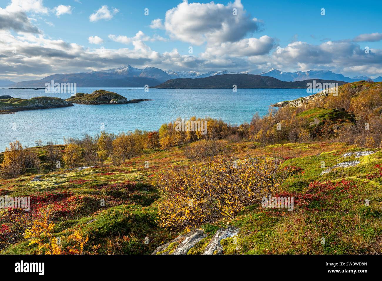 outdoor in wild nature from Norway with fjord, autumn colored trees ...