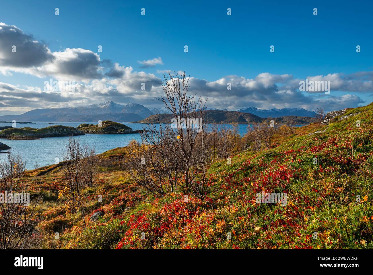 outdoor in wild nature from Norway with fjord, autumn colored trees ...