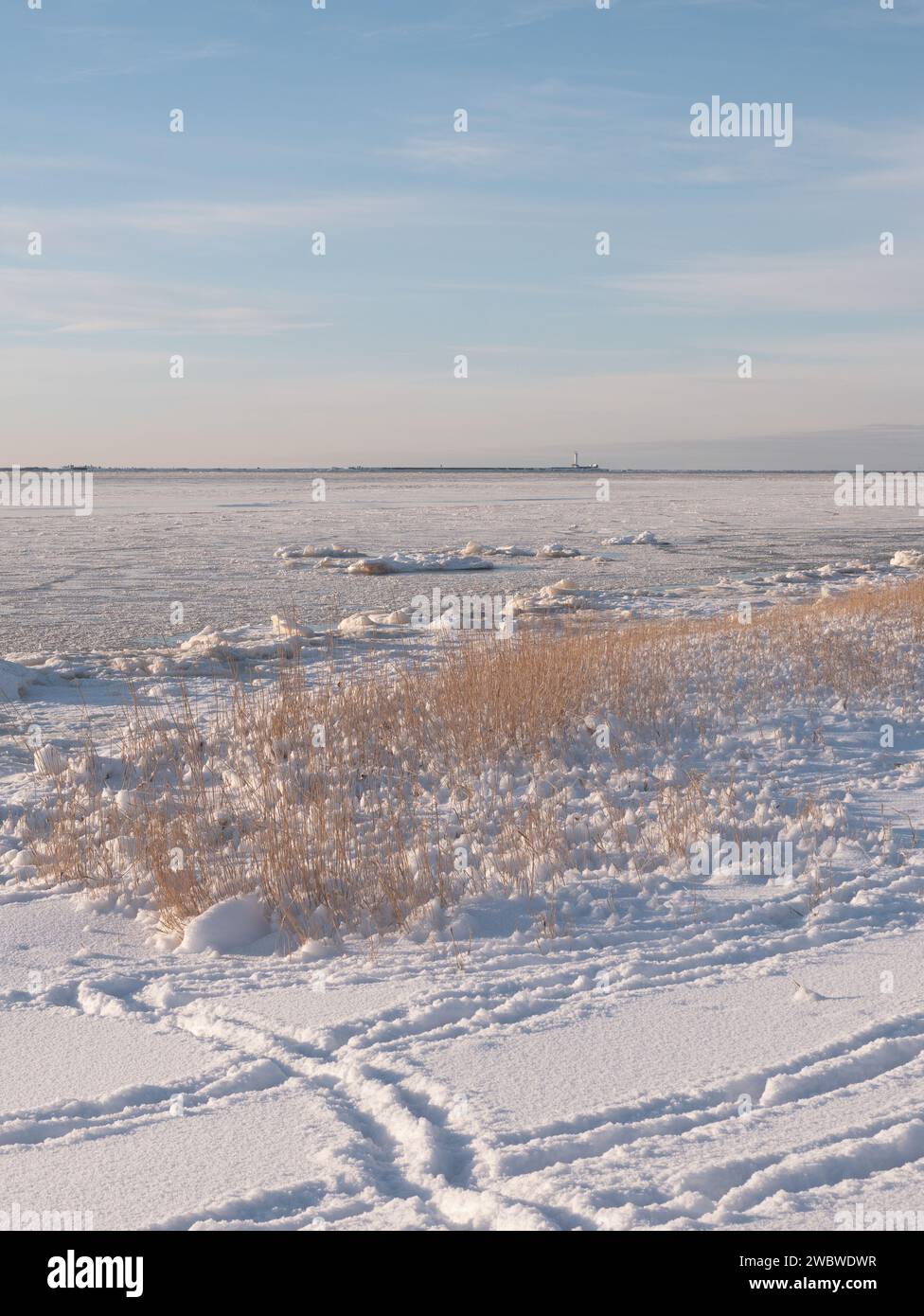 winter sea landscape with snow bushes frozen cold water with lighthouse ...