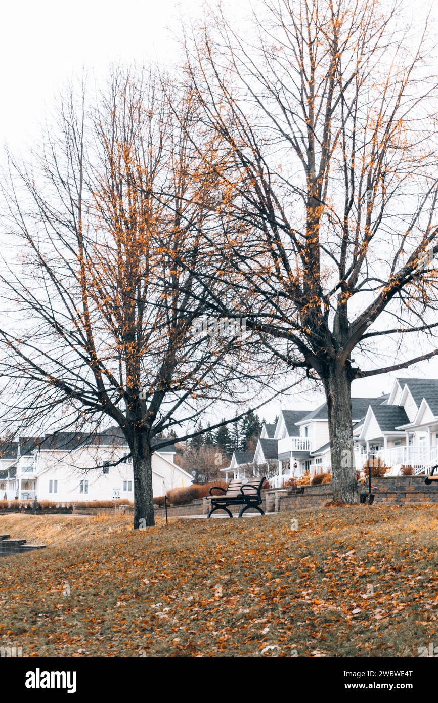 Beautiful Temiskaming Shore, Ontario, Canada 2024 Stock Photo - Alamy