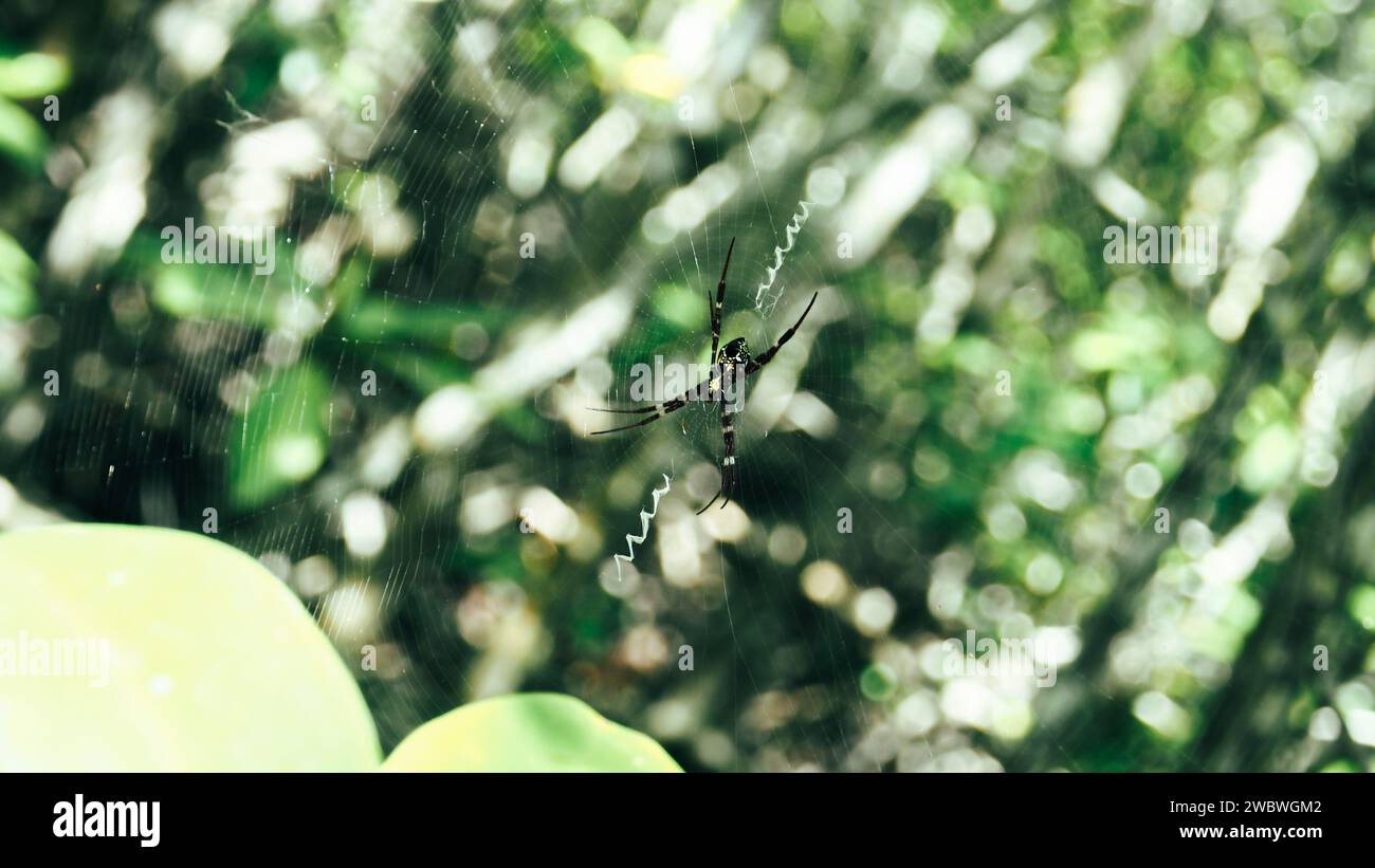 Victim watch hi-res stock photography and images - Alamy