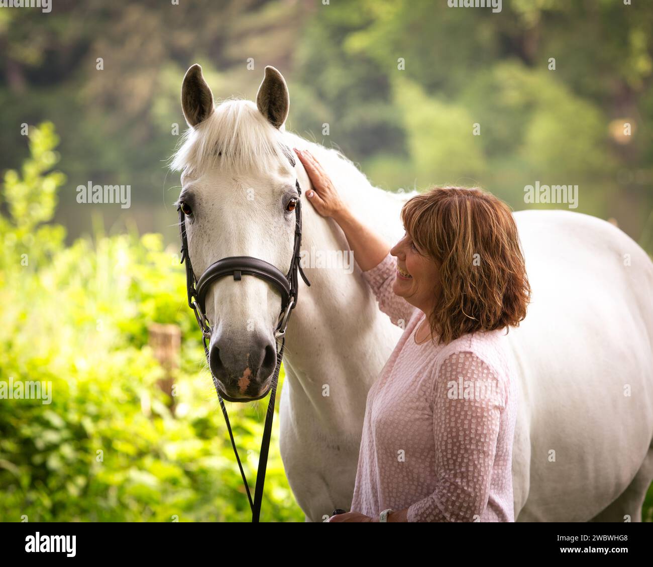 Horse wellness hi-res stock photography and images - Alamy