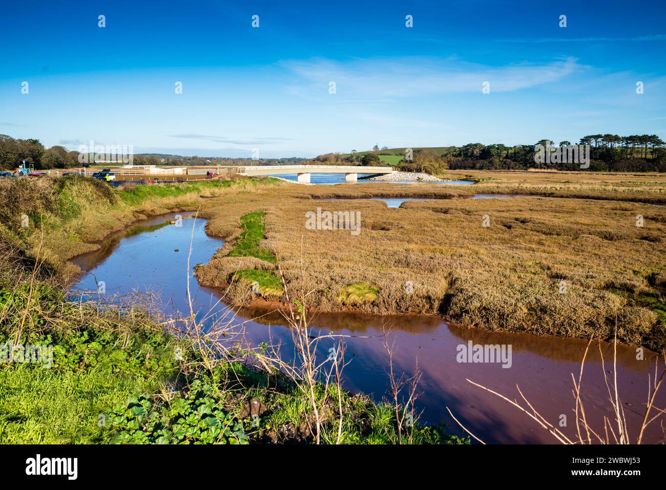 Otter estuary restoration project hi-res stock photography and images - Alamy