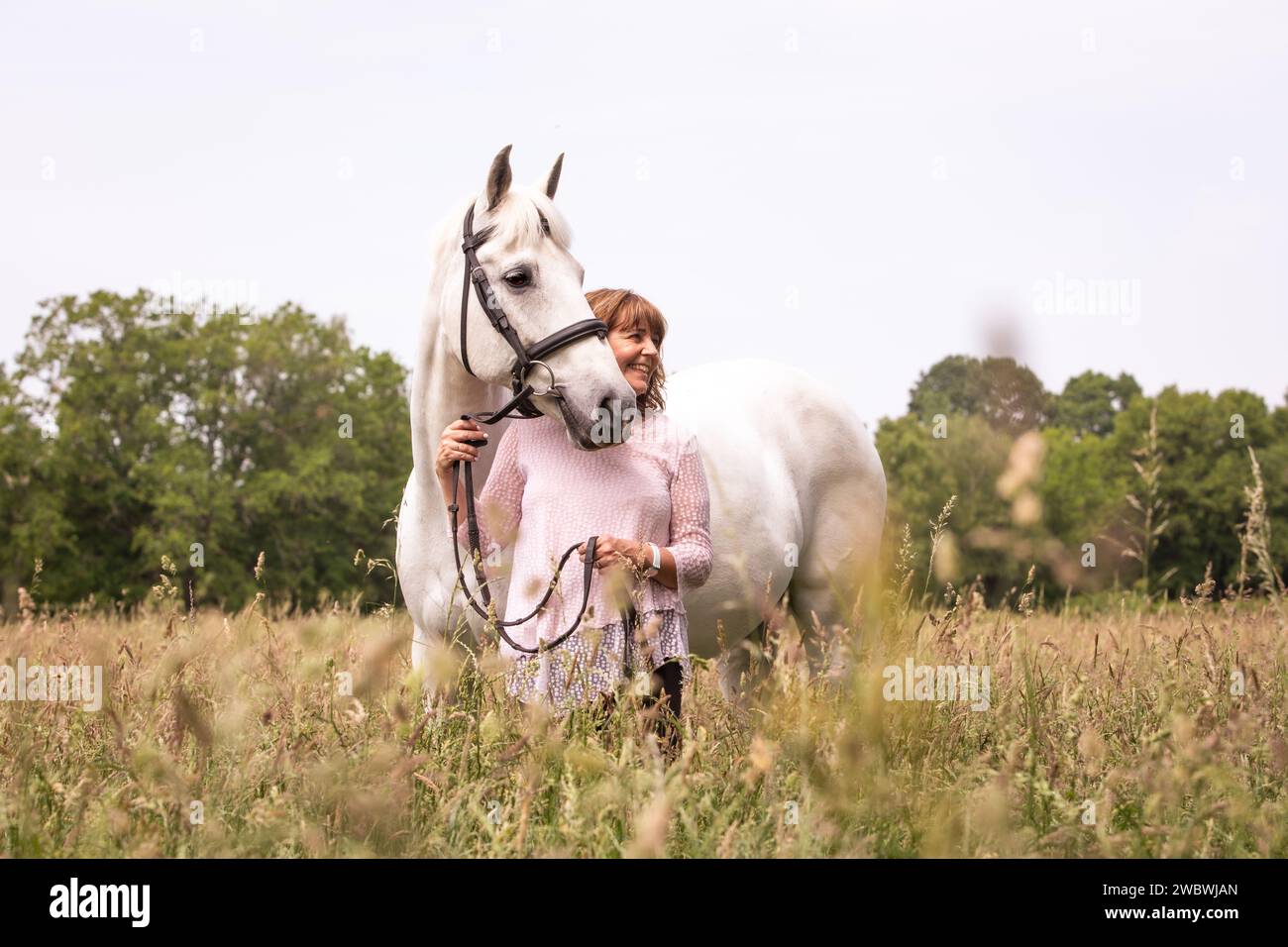 horse and rider Stock Photo - Alamy