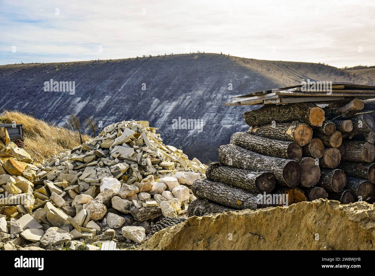 Stack of old wooden logs with cracked ends. A beautiful drawing of tree ...
