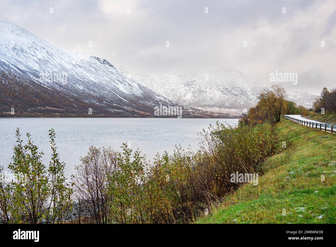 outdoor in wild nature from Norway with fjord, autumn colored trees ...