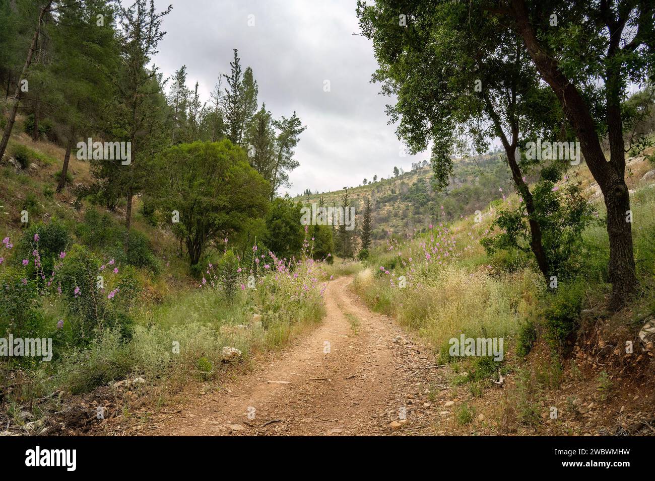 Israel jerusalem mountains jerusalem trail hi-res stock photography and ...
