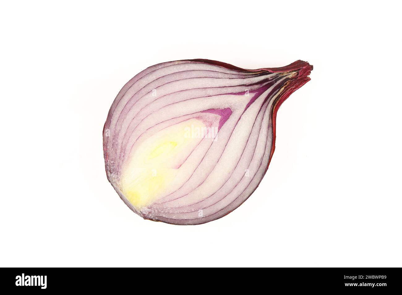 Section single red onion sliced hi-res stock photography and images - Alamy