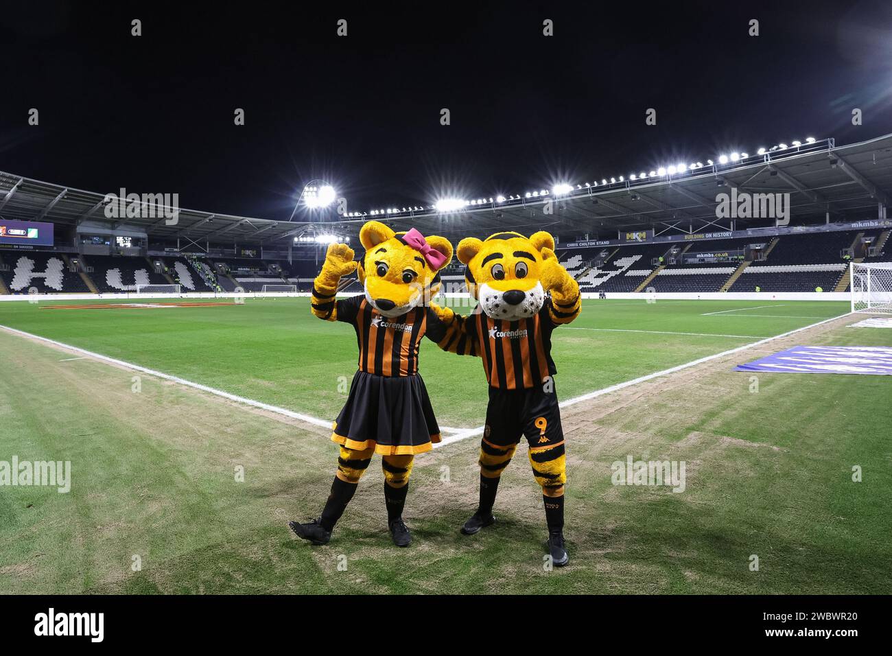 Hull City mascots Amber and Roary during the Sky Bet Championship match ...