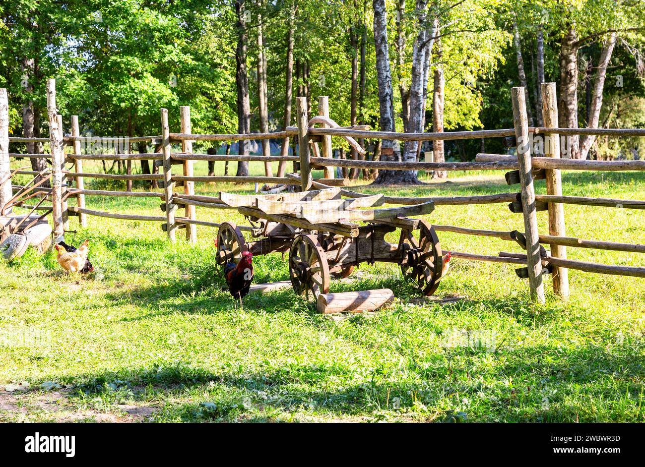Country life. Vintage wooden cart without a horse at the field in sunny ...