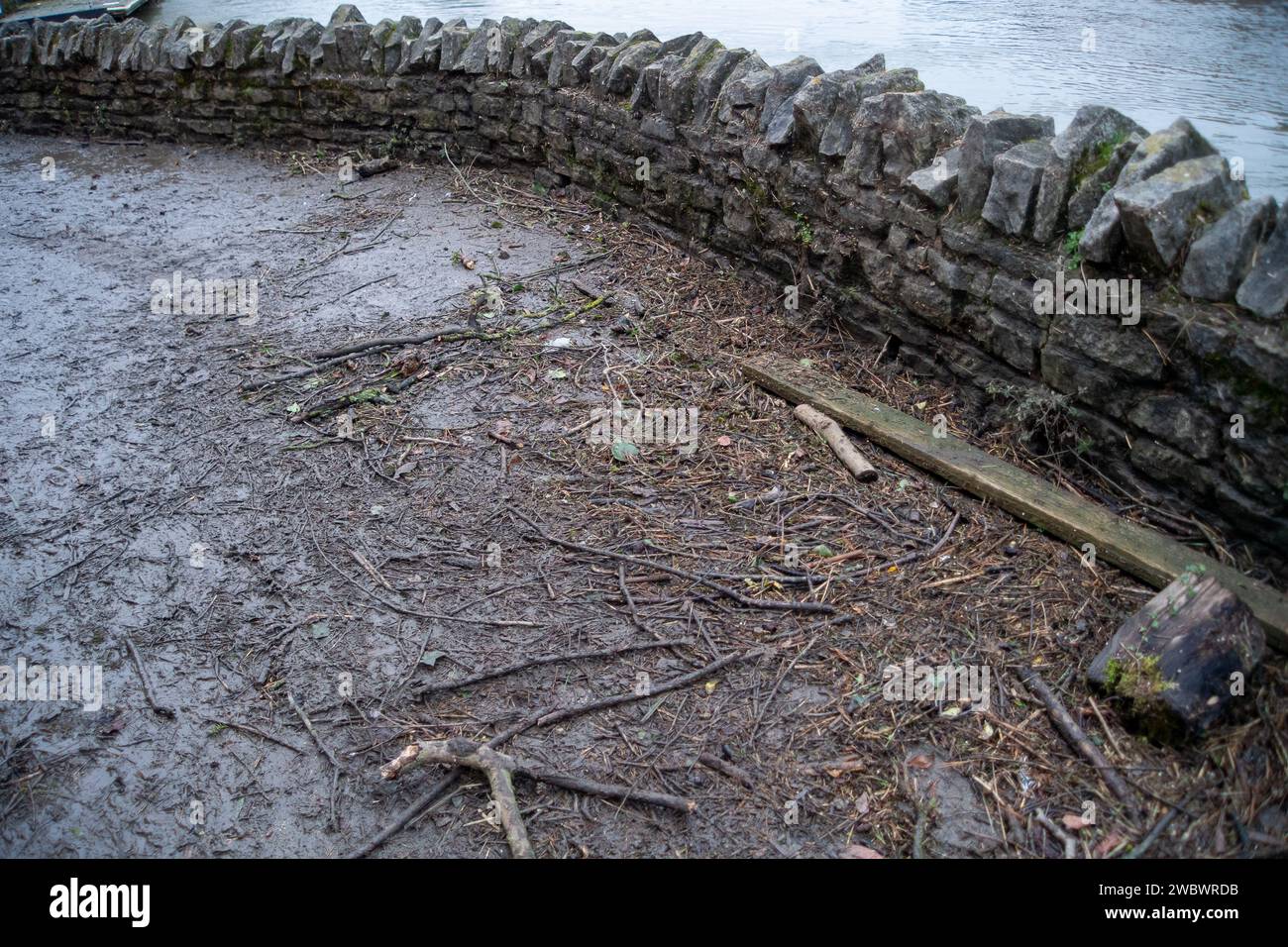 Windsor, UK. 12th January, 2024. Debris from the River Thames on the ...