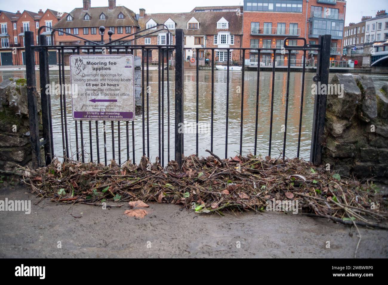 Windsor, UK. 12th January, 2024. Debris from the River Thames on the ...