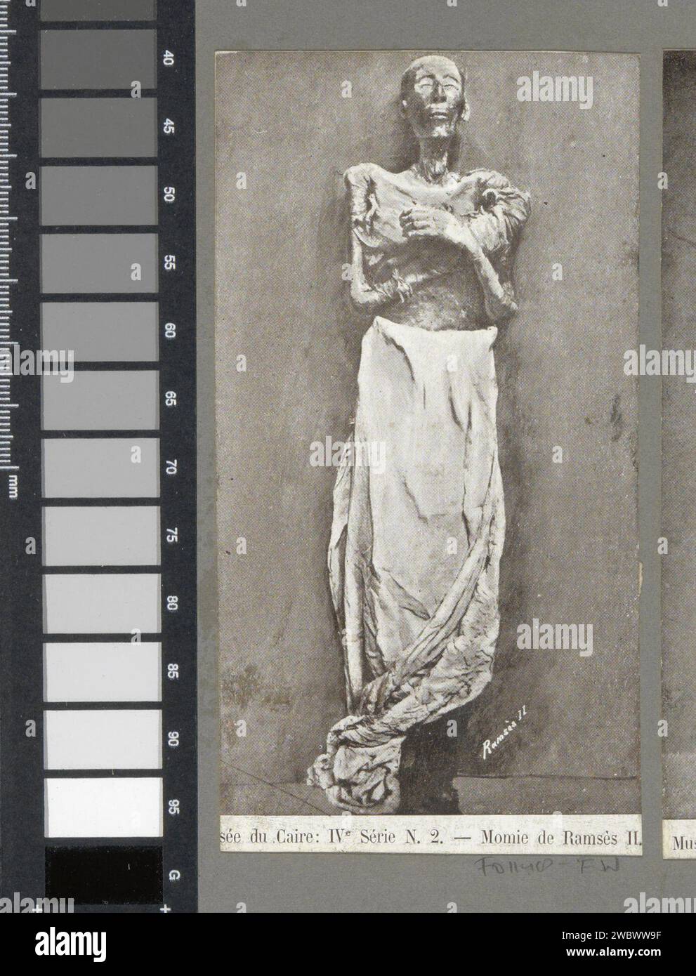 Mummy of Pharaoh Ramses II in the Museum of Cairo, Anonymous, c. 1895 ...