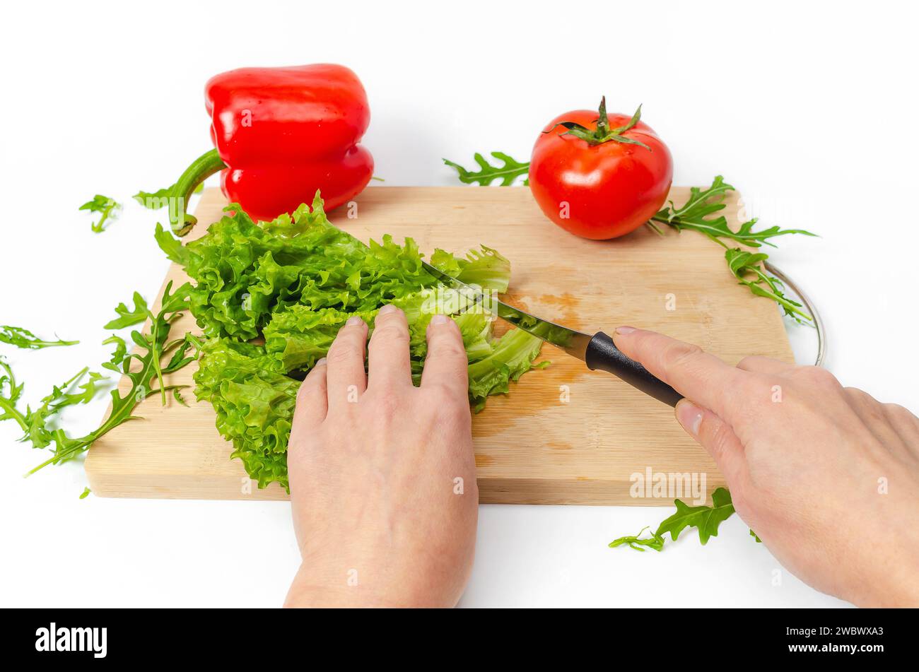 Cutting vegetables on kitchen board. Female hands cut green salad with ...