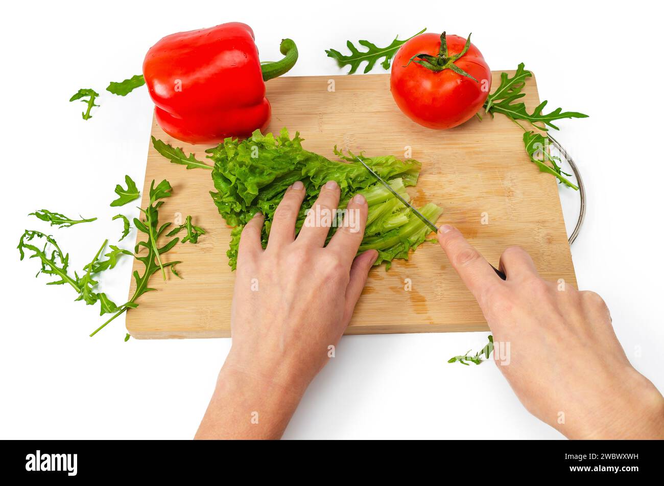Cutting vegetables on kitchen board. Female hands cut green salad with ...